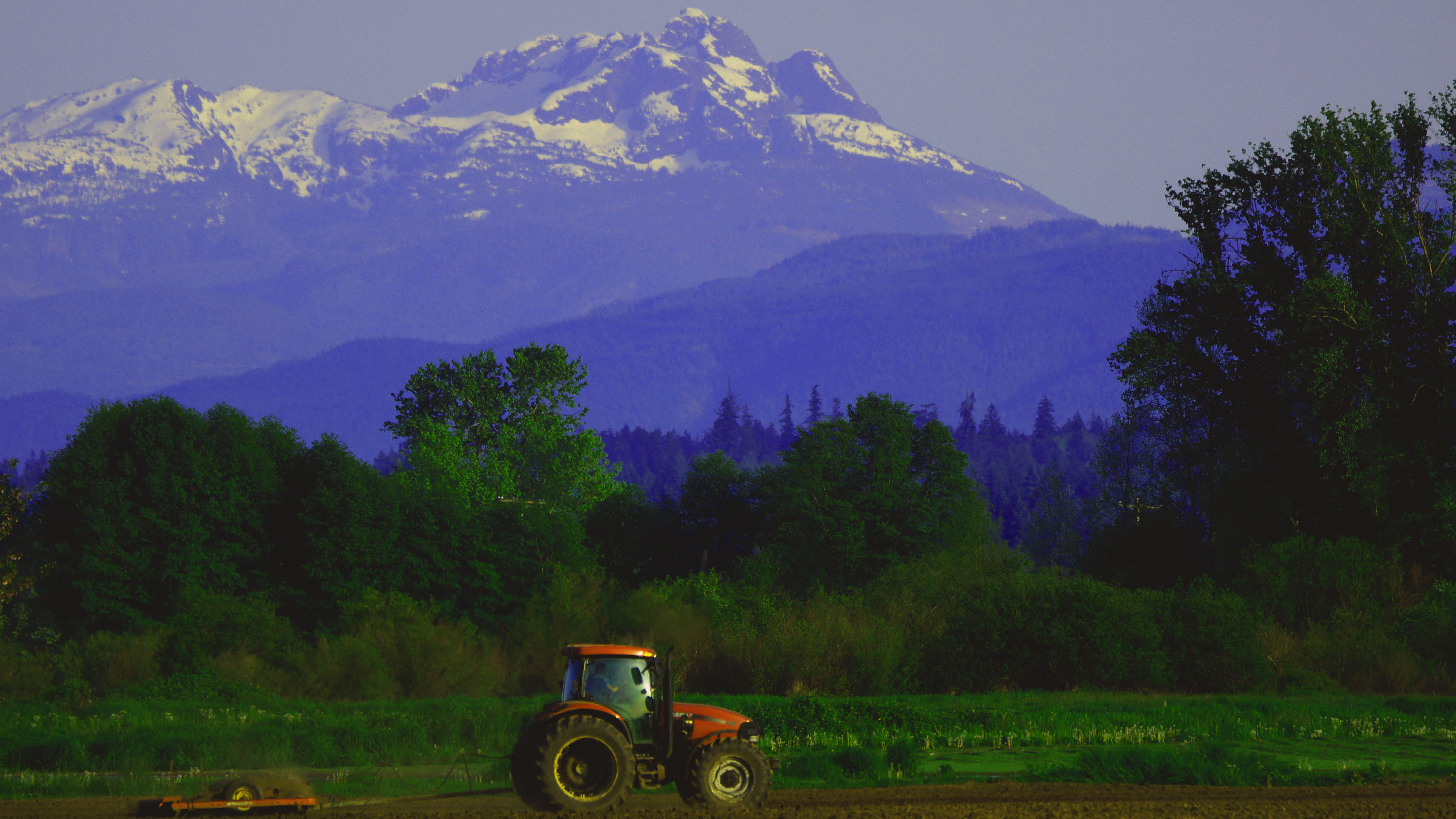 Spring in the Comox Valley – The Utopian